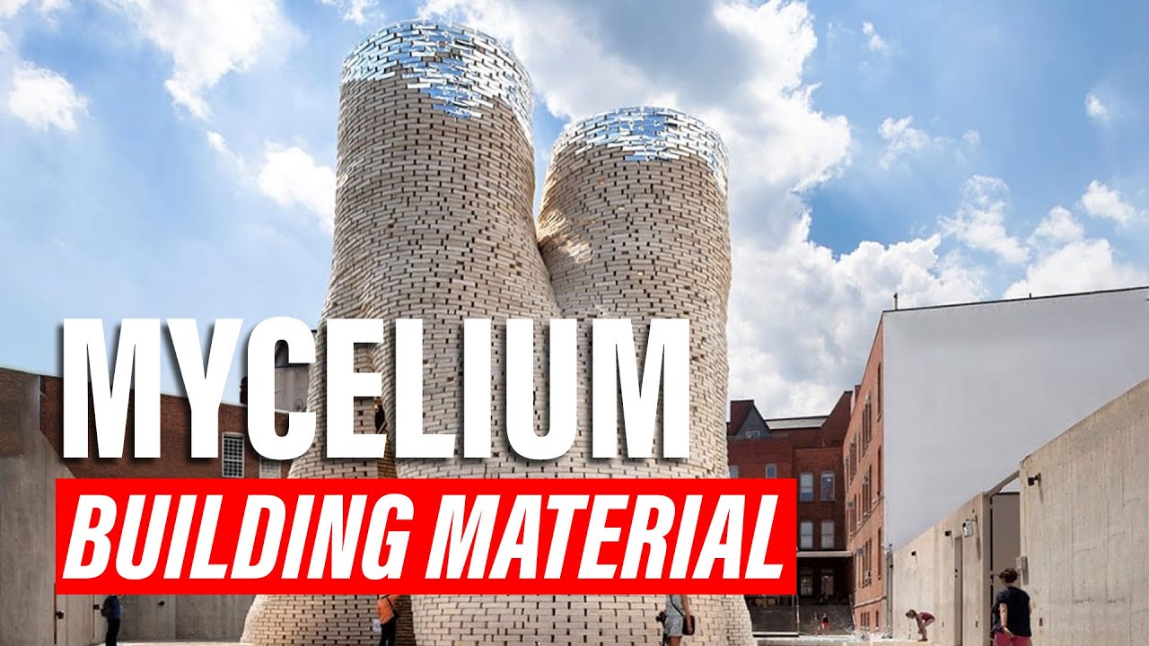 🟢 Mycelium: The Sustainable Building Material of the Future 🌱 ...
