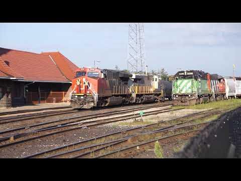 CN L502 - CN 3098 at Brantford (August 18 2023) - YouTube