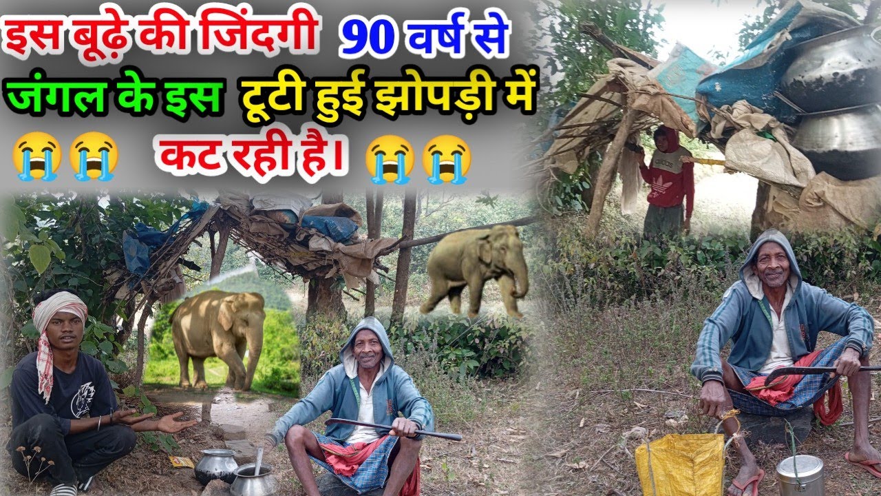 इस बूढ़े की जिंदगी 90 वर्ष से जंगल के इस टूटी हुई झोपड़ी में कट रही है। sachit ganjhu vlog - YouTube