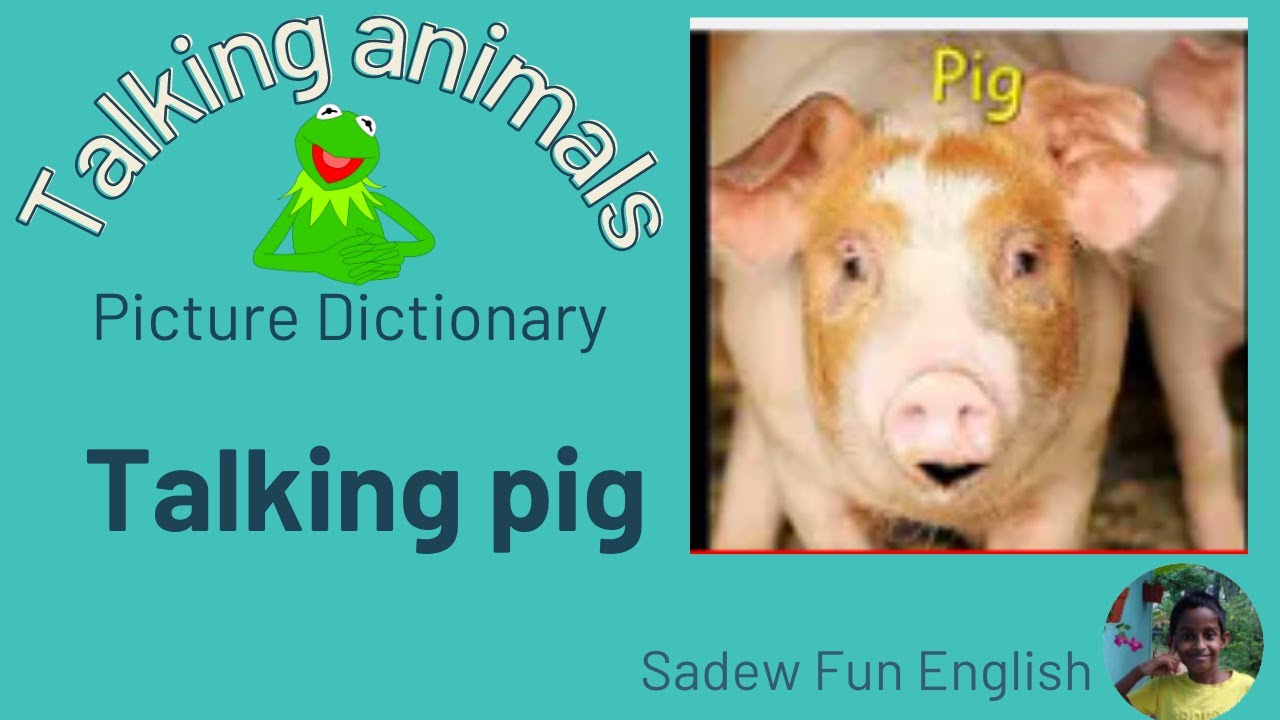 How To Spell How Do You Spell Pig Talking Picture Dictionary how-to-spell-how-do-you-spell-pig-talking-picture-dictionary