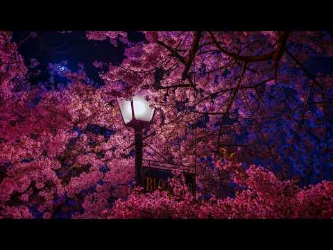 Seni Seyrederdim #OzdemirAsaf