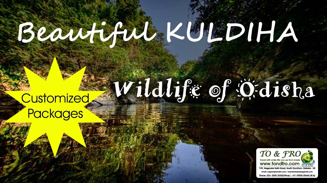 Beautiful Kuldiha - Kuldiha Eco Tour- Wildlife of Odisha - Describe the ...