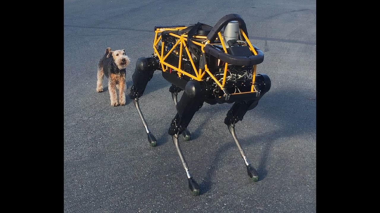 Biomimicry Presentation for kids - YouTube