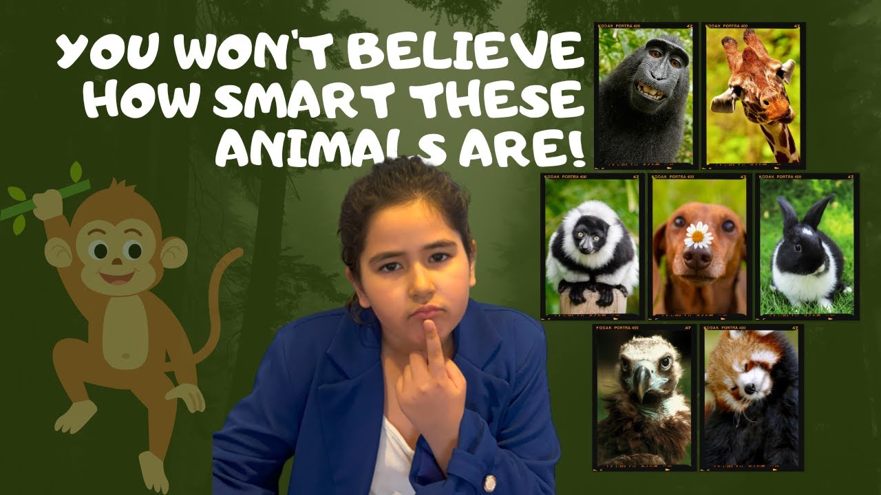 You Won't Believe How Smart These Animals Are! - YouTube