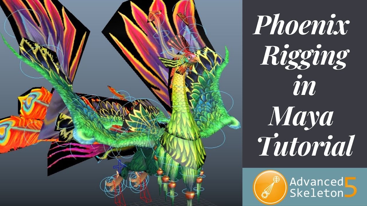 Maya Phoenix Rigging / Advanced Skeleton Setup - YouTube