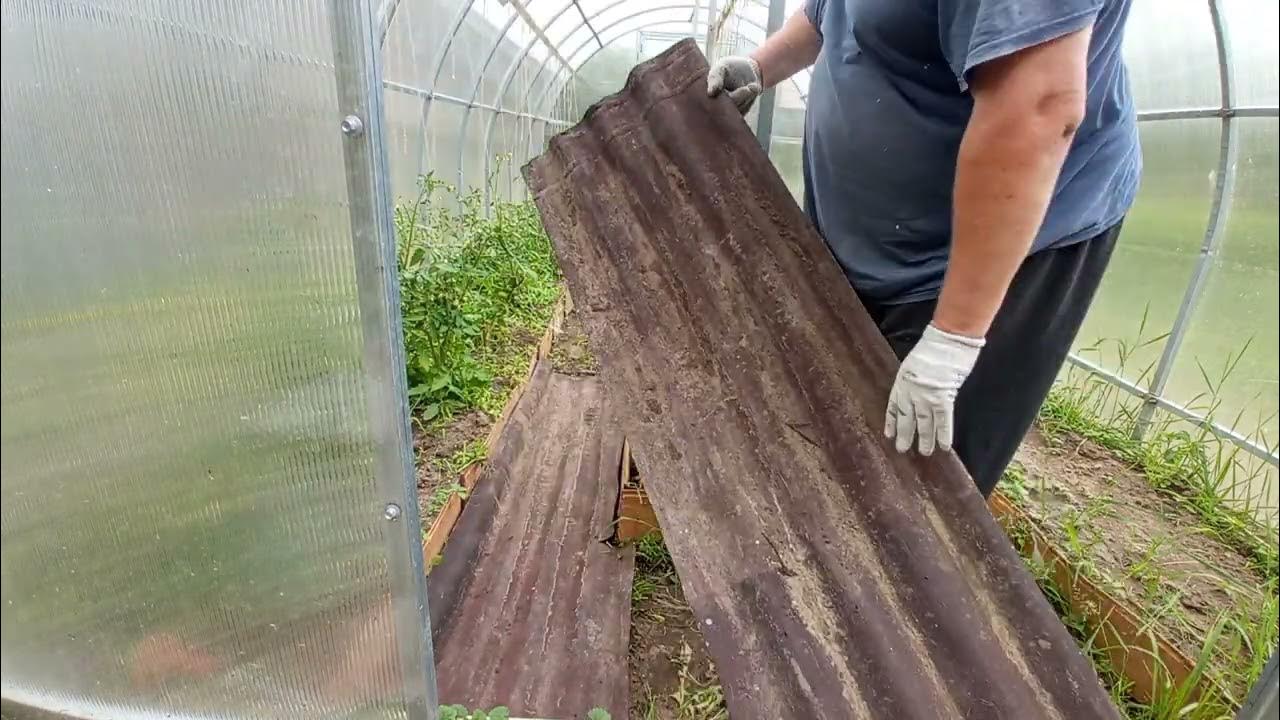 Дорожки в теплице - YouTube
