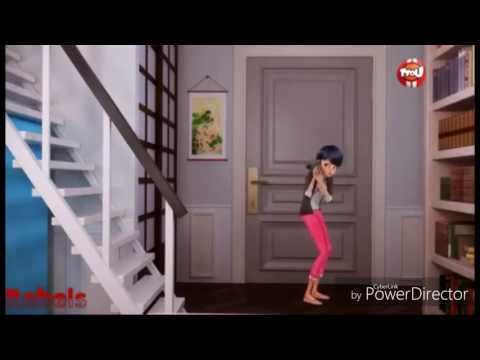 Marinette ve kara kedi