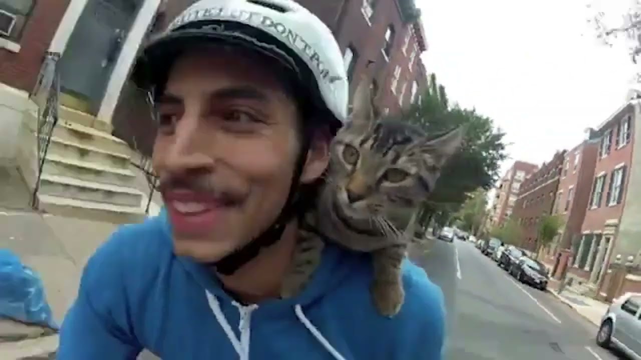 Top 5 squewe sightings - YouTube