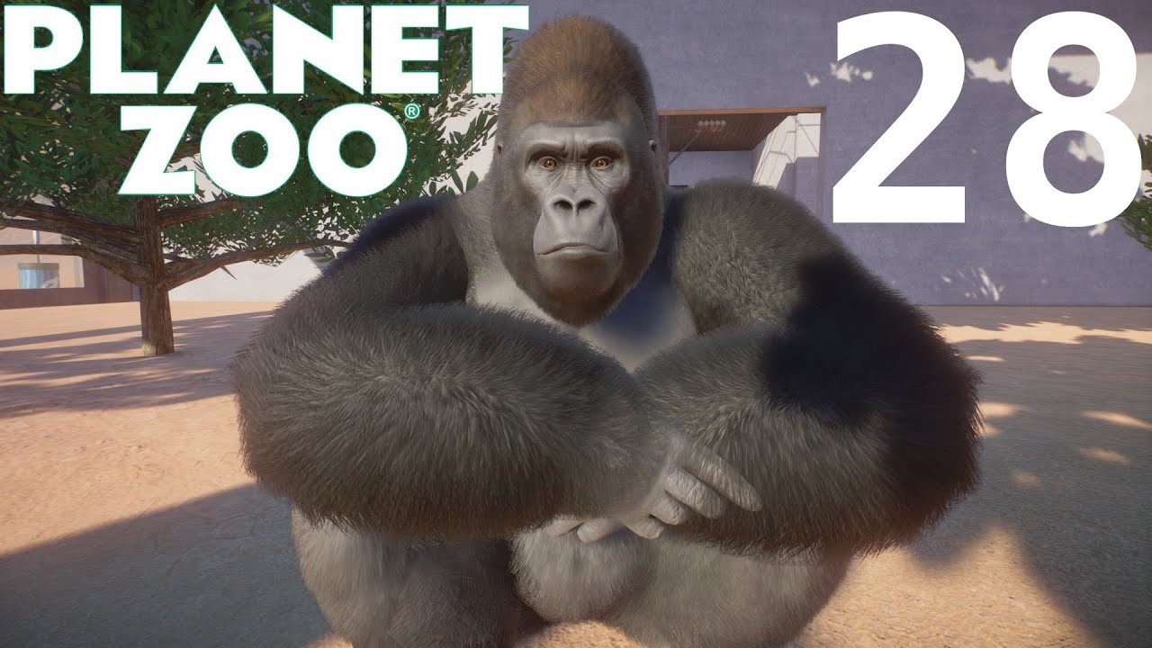 Let's Play Planet Zoo: Franchise (Part 28) - Gorilla Grounds - YouTube