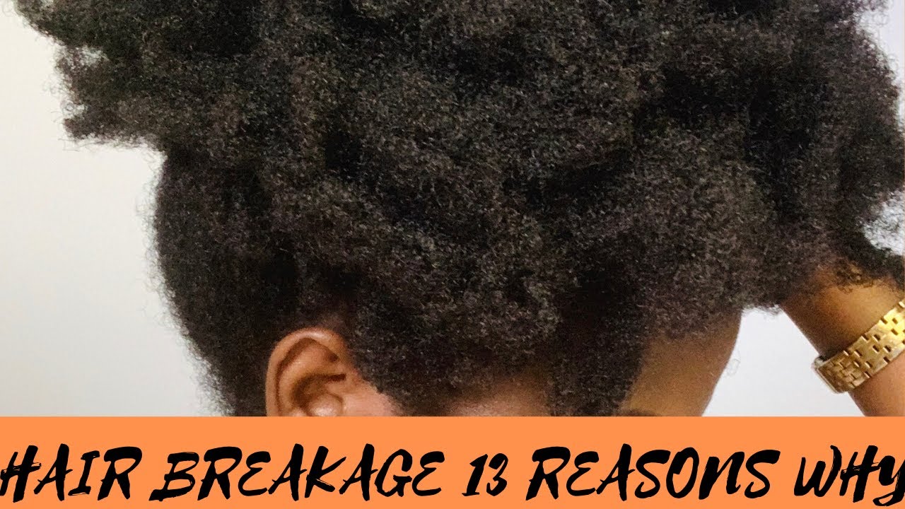 Why Your Natural Hair Is Breaking Off Youtube