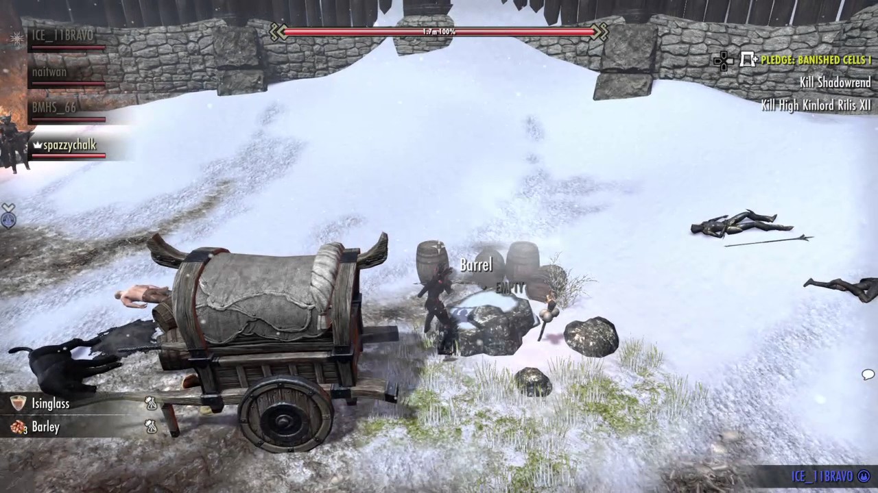 #ESO 4-DPS Vet Blessed Crucible SPEED RUN - YouTube