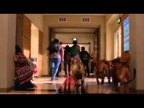 Glee - Sue Sylvester as the New Principal | Loser Like Me (6x01) [HQ ...