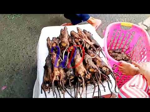 pasar extreme - YouTube