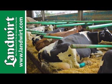 Cow-Welfare Flex Stalls Liegeboxenbügel aus Kunststoff  | landwirt.com