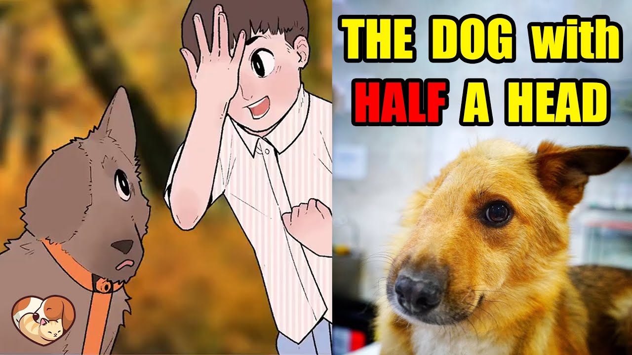 If You Met a DOG WITH HALF A HEAD, Would You Laugh At It? Police Dog ...