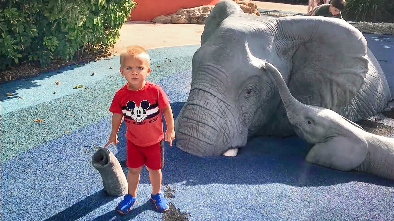 LEARN ANIMALS WITH MIKE - YouTube
