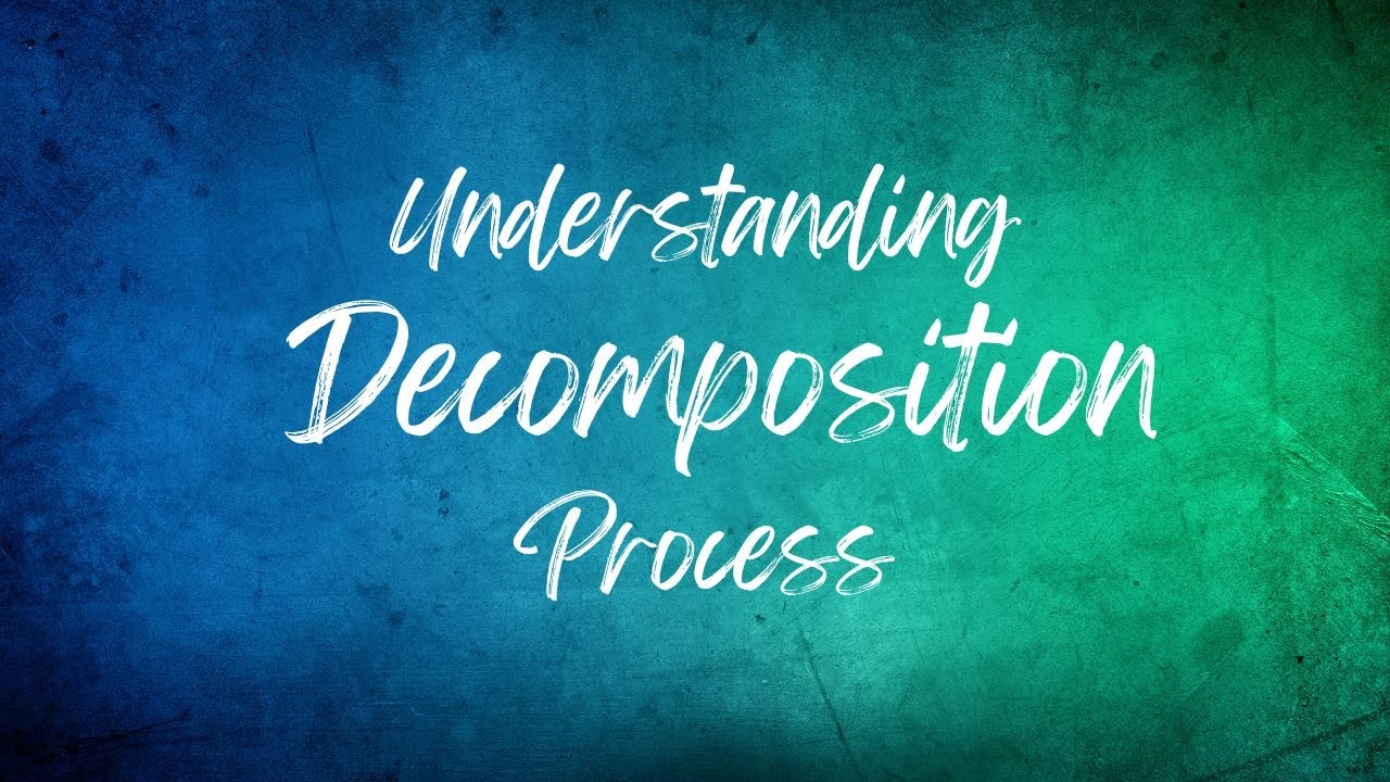 Understanding The Decomposition Process | PMBOK | PMP 2025 - YouTube