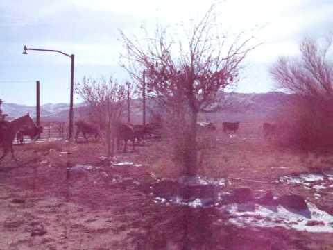 Holmgren Rawhide Ranch Moving Some Cattle Around the Home Place 001 ...