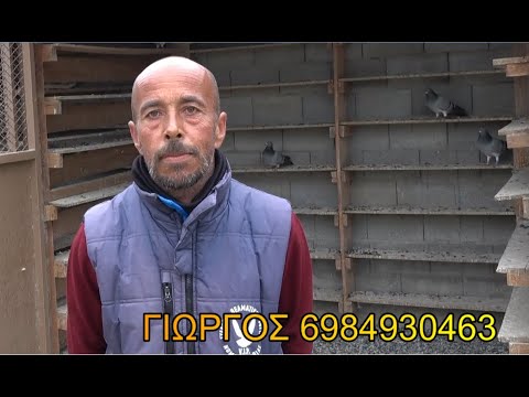 ΑΥΤΟΣ ΕΙΝΑΙ Ο ΓΙΩΡΓΟΣ ΠΟΥ ΕΚΑΝΕ ΑΥΤΟΝ ΤΟN ΧΑΒΑ ΓΑΙ ΤΟΝ ΣΥΛ ΤΗΣ V.I.P ...