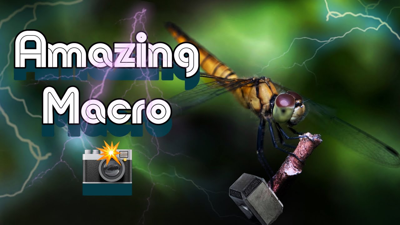 HOW TO TAKE MACRO PHOTOS WITH YOUR SMARTPHONE FOR COMMERCIAL PURPOSES # ...