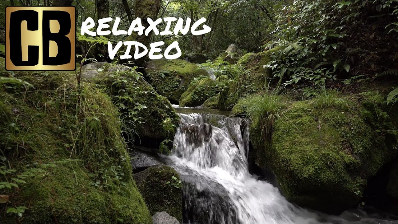 Sleep, Focus, Study, Relaxing screensaver-😴Sleep Peacefully-Gentle ...