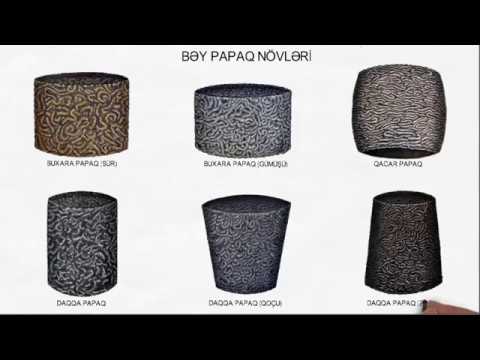 Başdan papaq alıb qaçan dünyadı !