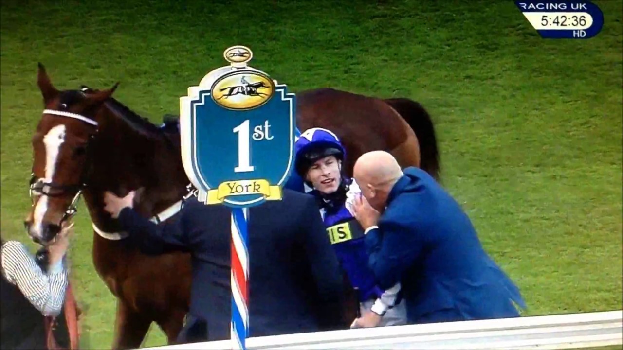 SHADY McCOY comes from behind AGAIN to WIN @YORK 13oct17 - YouTube