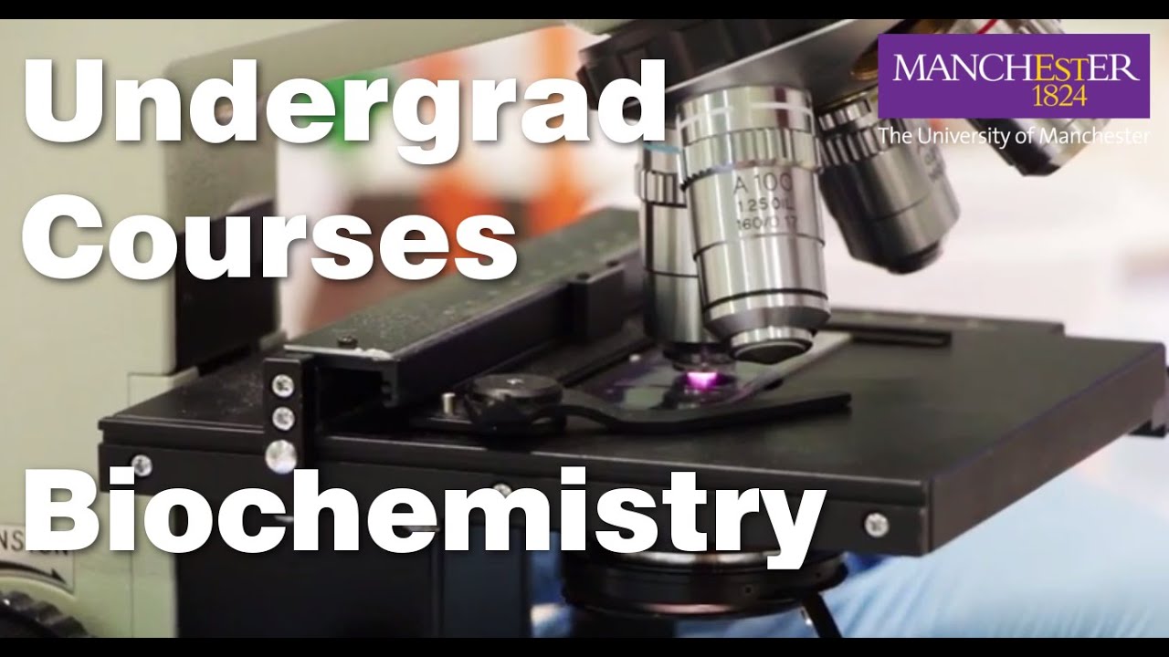 BSc courses: Biochemistry at The University of Manchester - YouTube