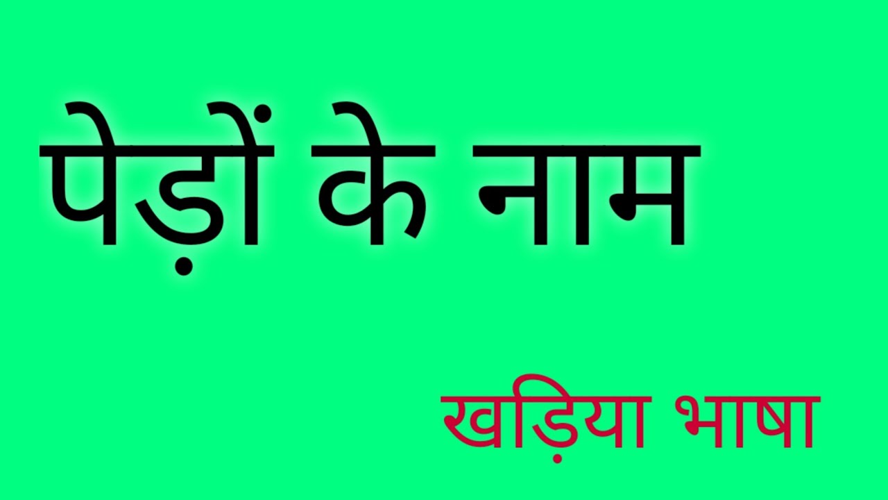 पेड़ों के नाम//Kharia Word - YouTube
