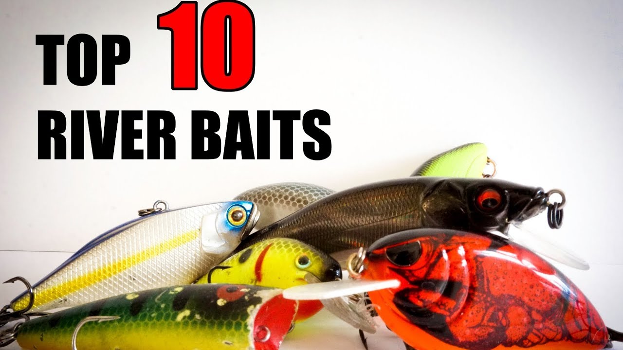 Top 10 Winter Baits for the Colorado River - PT.1 - YouTube