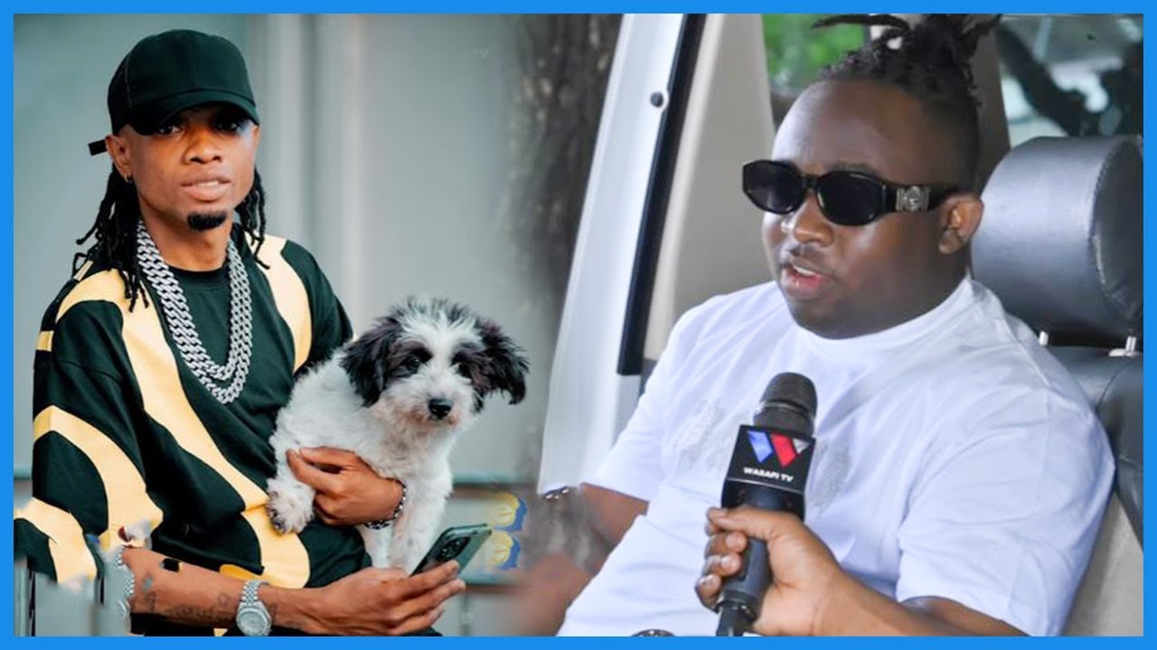 "SIONI CHANGAMOTO YOYOTE NIKIKUTANA NA DULA MAKABILA KWENYE SHOW ...