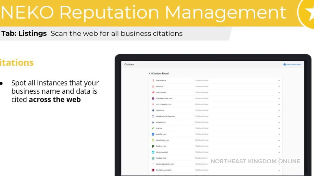 What is NEKO Reputation Manager? - YouTube