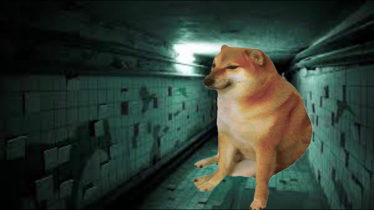 haha fun e dog - YouTube