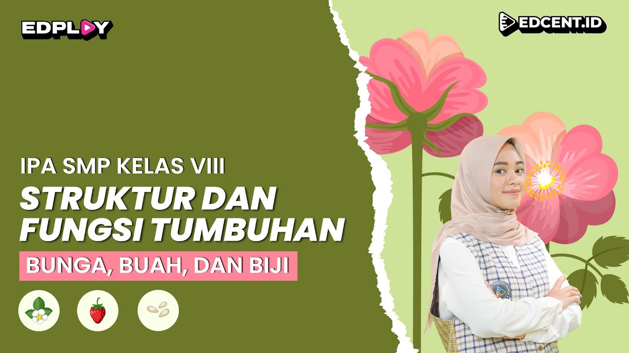 STRUKTUR DAN FUNGSI TUMBUHAN : Bunga, Buah, dan Biji - Materi IPA SMP ...