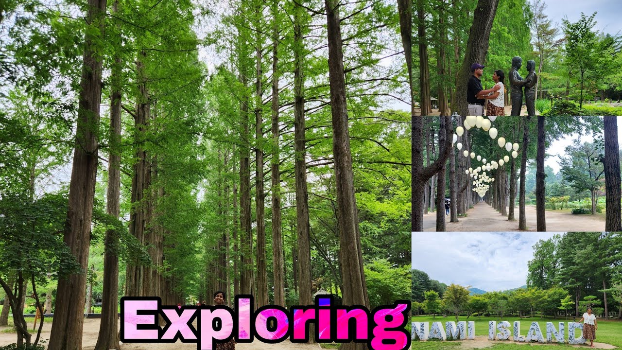 Nami Island| One day trip of Naminara Island🇰🇷| How to go to Nami ...