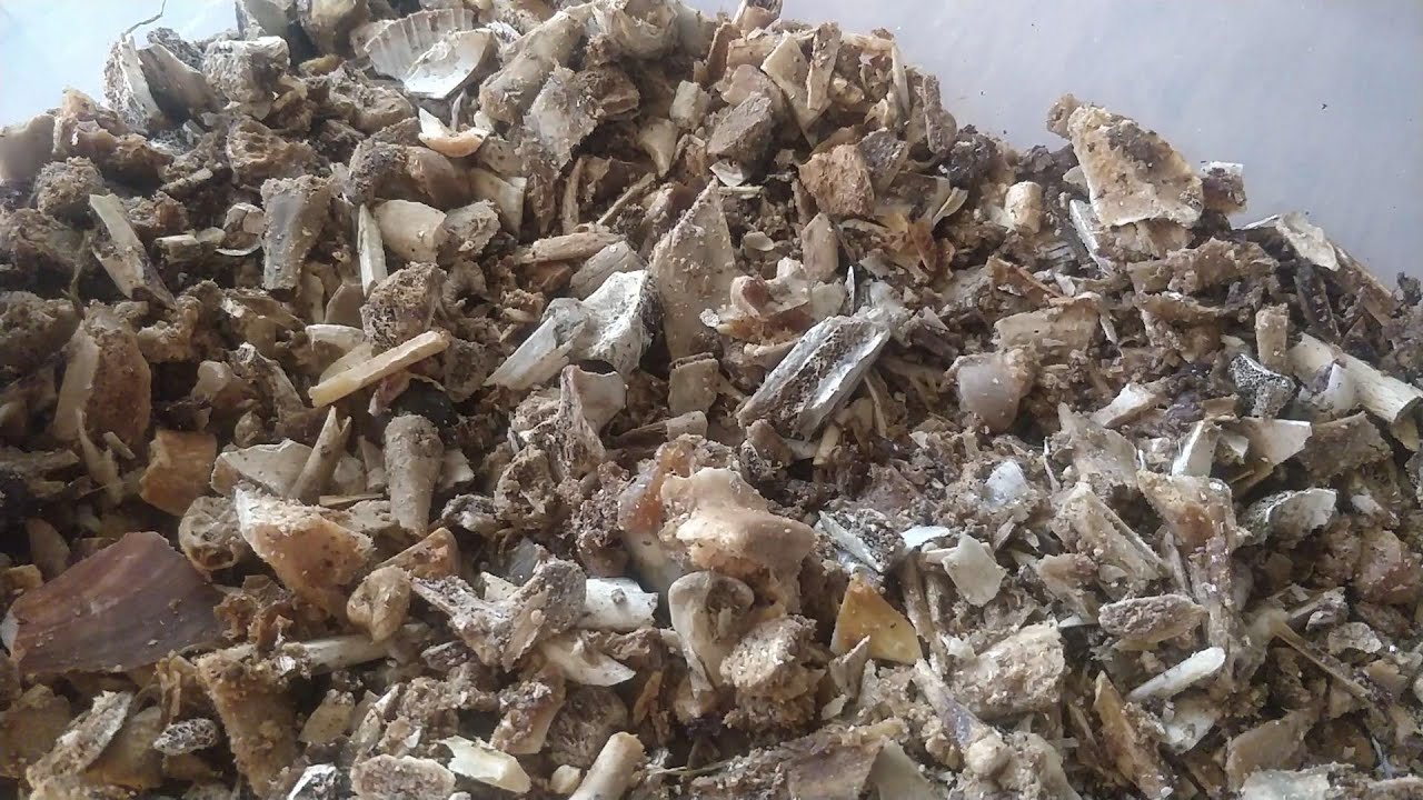 Home Made Bone Meal - YouTube