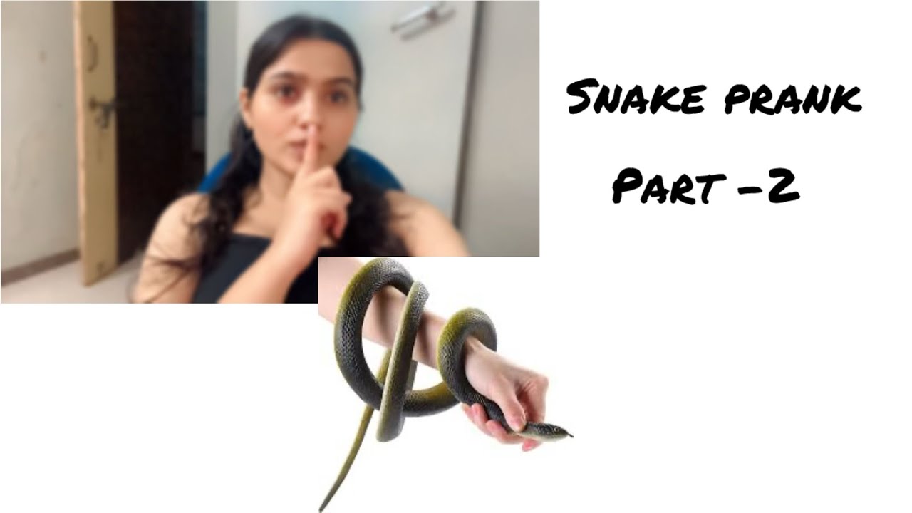 Snake 🐍 prank on friends ||Part -2 || 7 minutes 🤩 fun ||fake snake ...