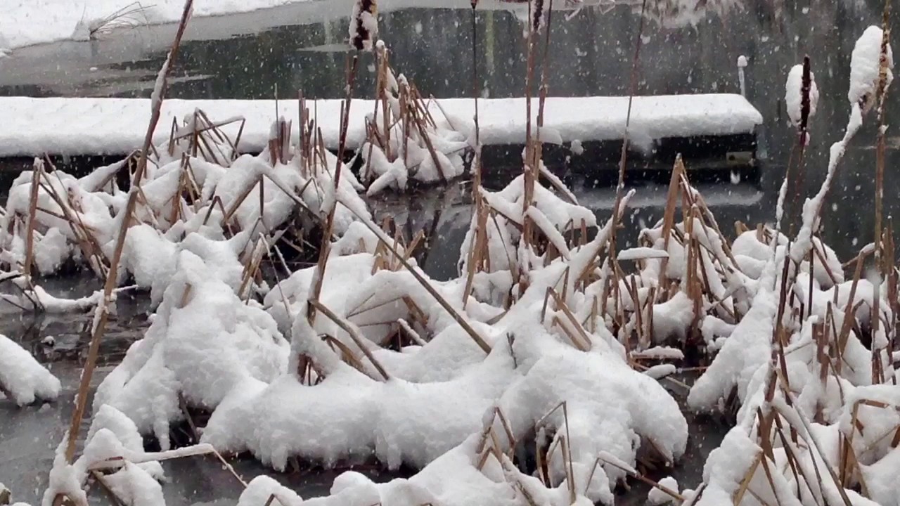 Winter? March 10, 2017 - YouTube