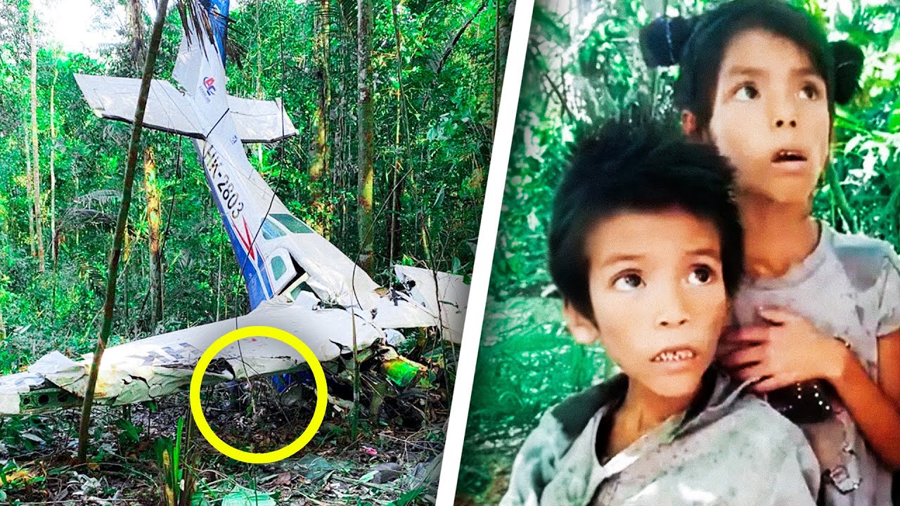 Les enfants qui ont survécu 40 jours dans la jungle (après un crash d ...