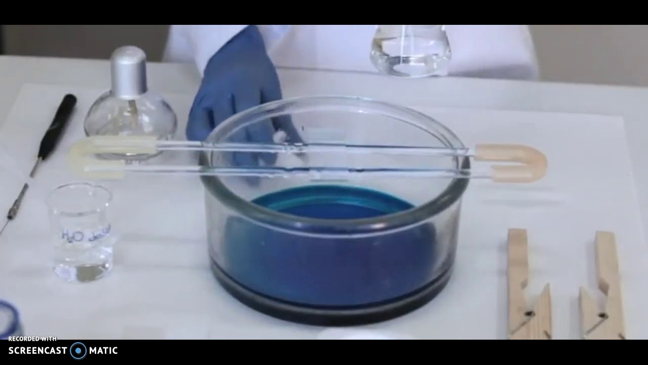 tinción simple - YouTube