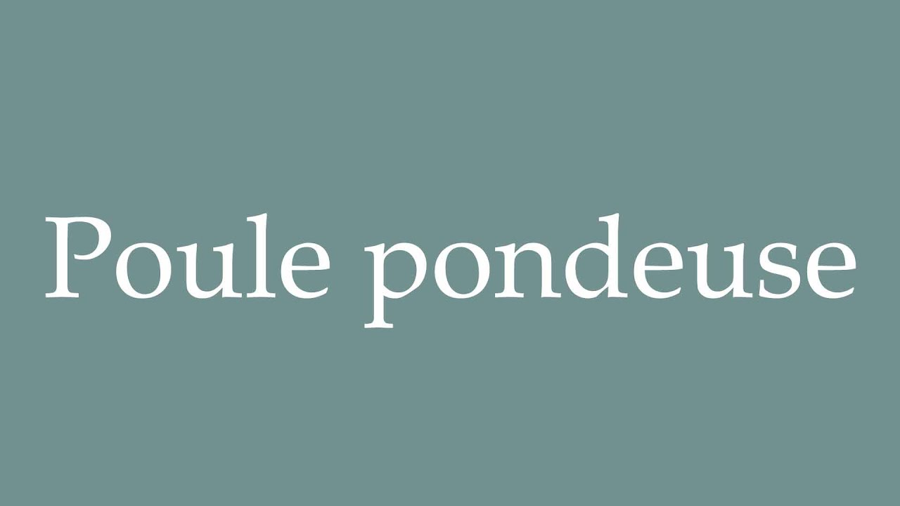 How to Pronounce ''Poule pondeuse'' (Laying hen) Correctly in French ...