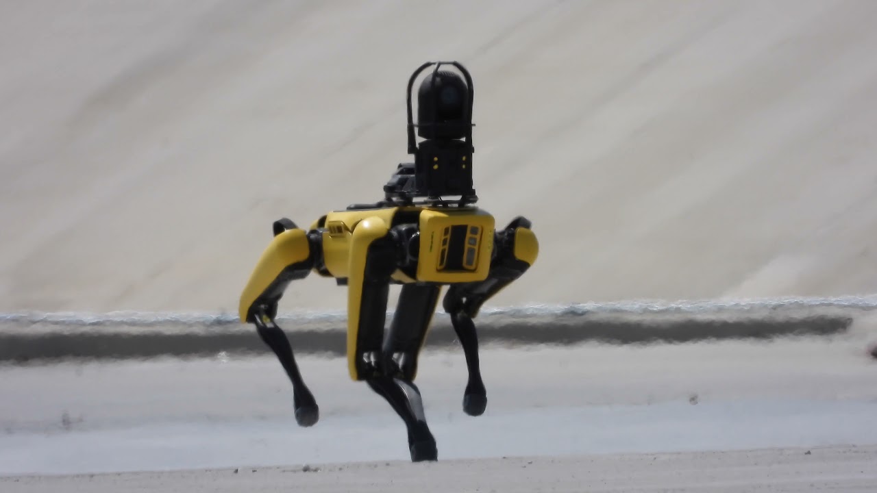 SpaceX Robot Dog Zeus Boca Chica TX Launch Pad Starbase Boston Dynamics ...