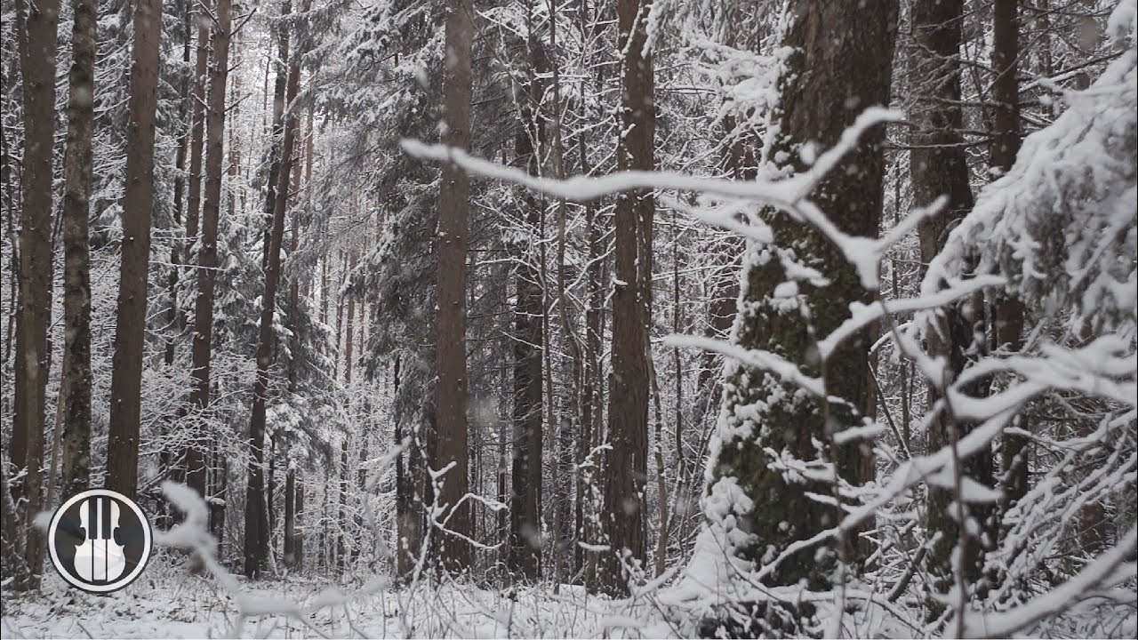 Relaxing Winter Scenery & Beautiful Snow Falling. Snowy Forest Ambience ...