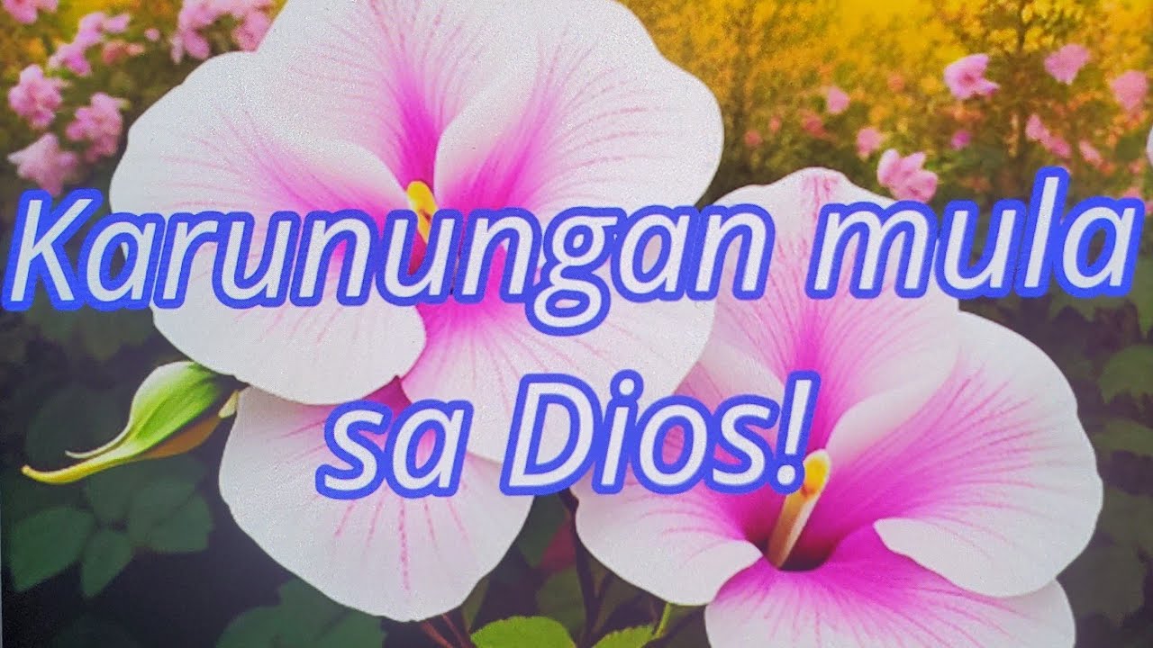 Tagalog Bible reflection " Ang karunungang Mula sa Dios" - YouTube