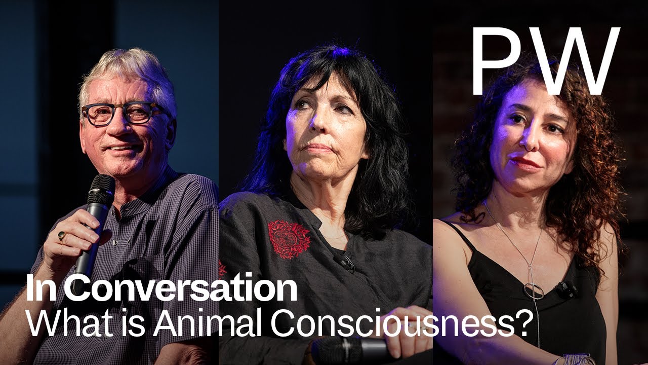What is Animal Consciousness? - YouTube
