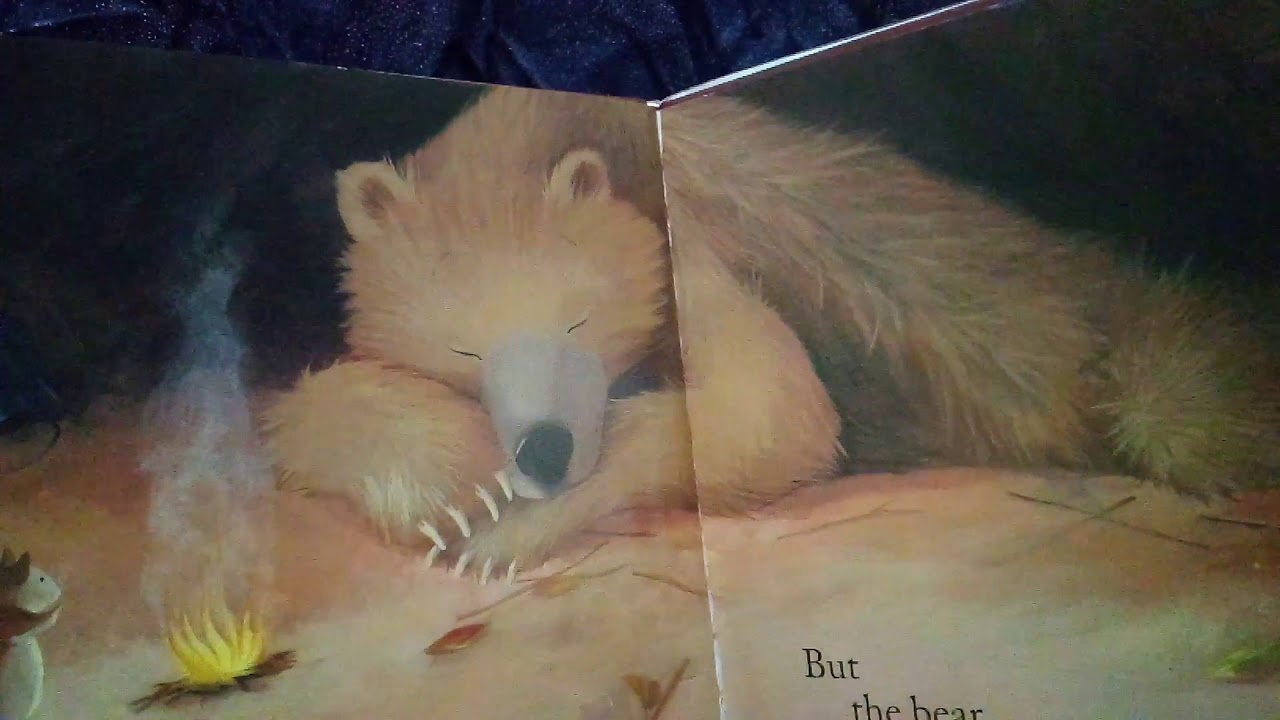 Bear snores on - YouTube