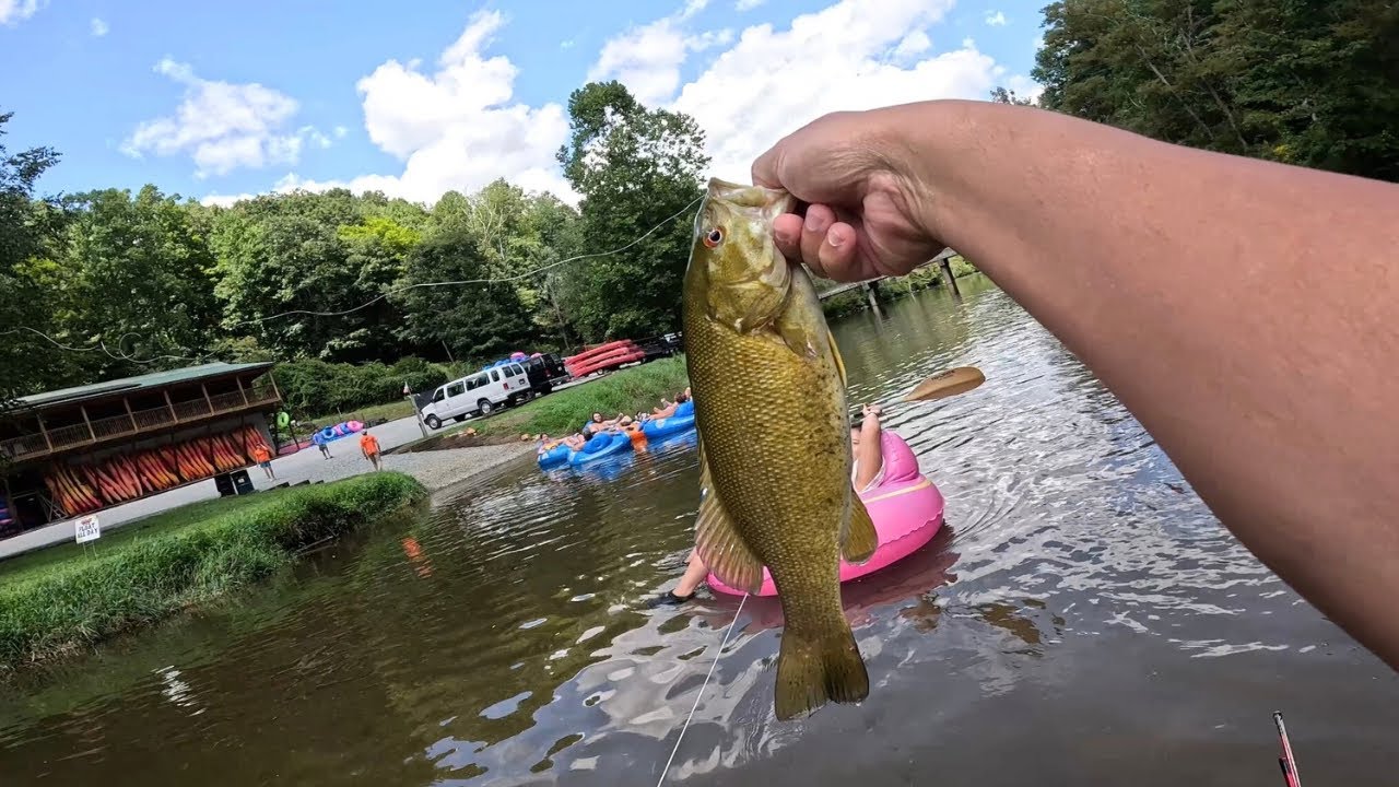 New River Smallmouth Bass Fishing! (Tube Fishing) - YouTube