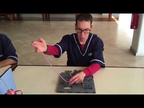 CINIA Síntesis y Evaluación