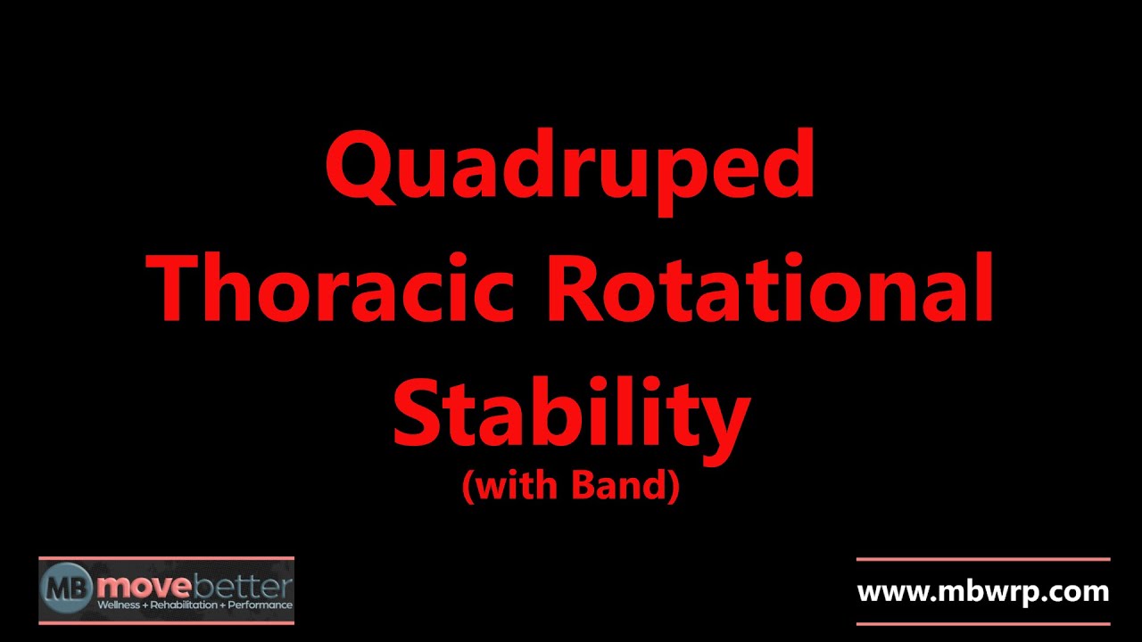Quadruped Thoracic Rotational Stability (with Band) - YouTube