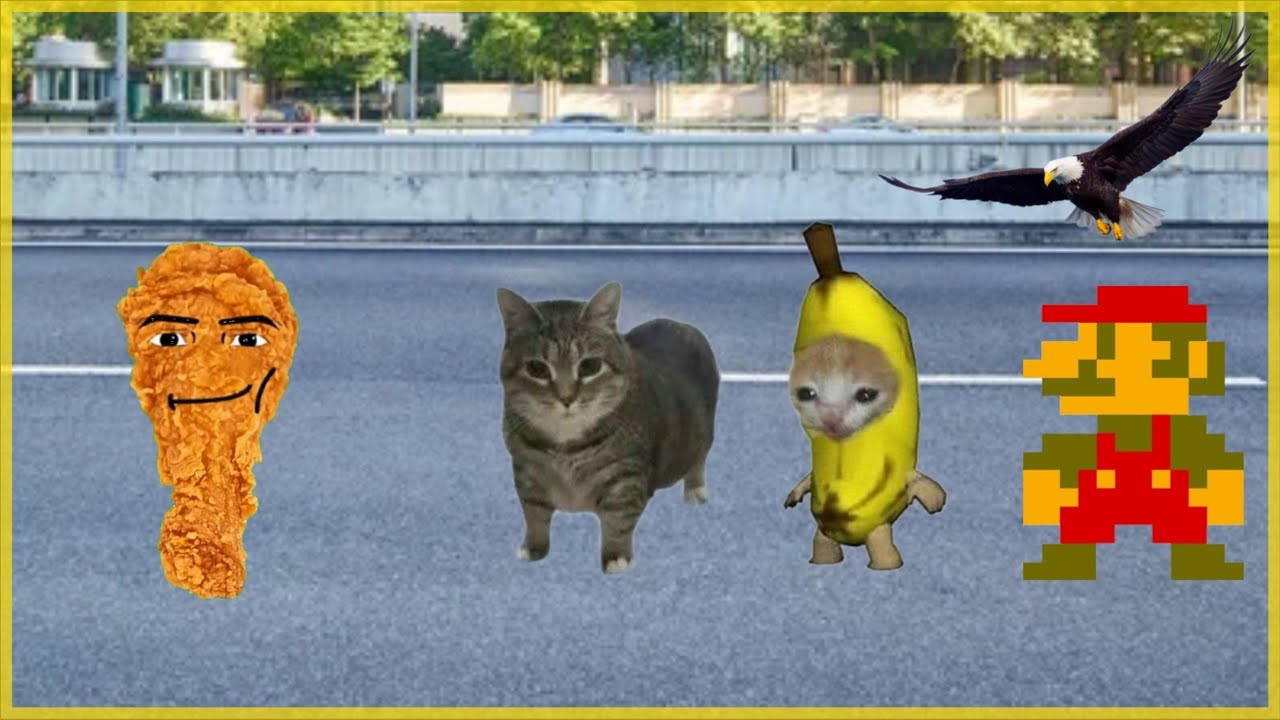 Mario! / Meow Show part 3 - YouTube